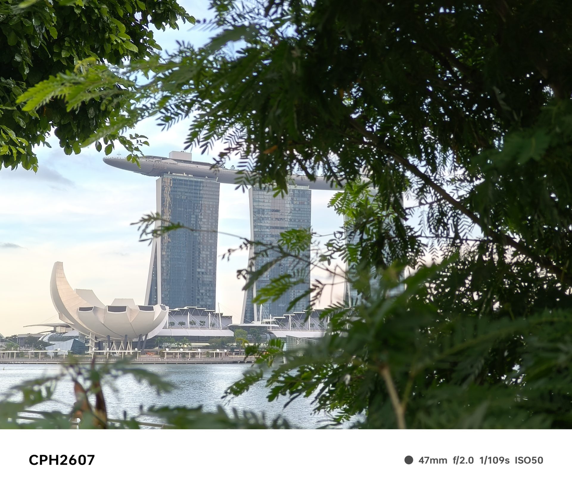 OPPO Reno 11 Pro Review: The Best "Reno" Experience So Far! - Playfuldroid!