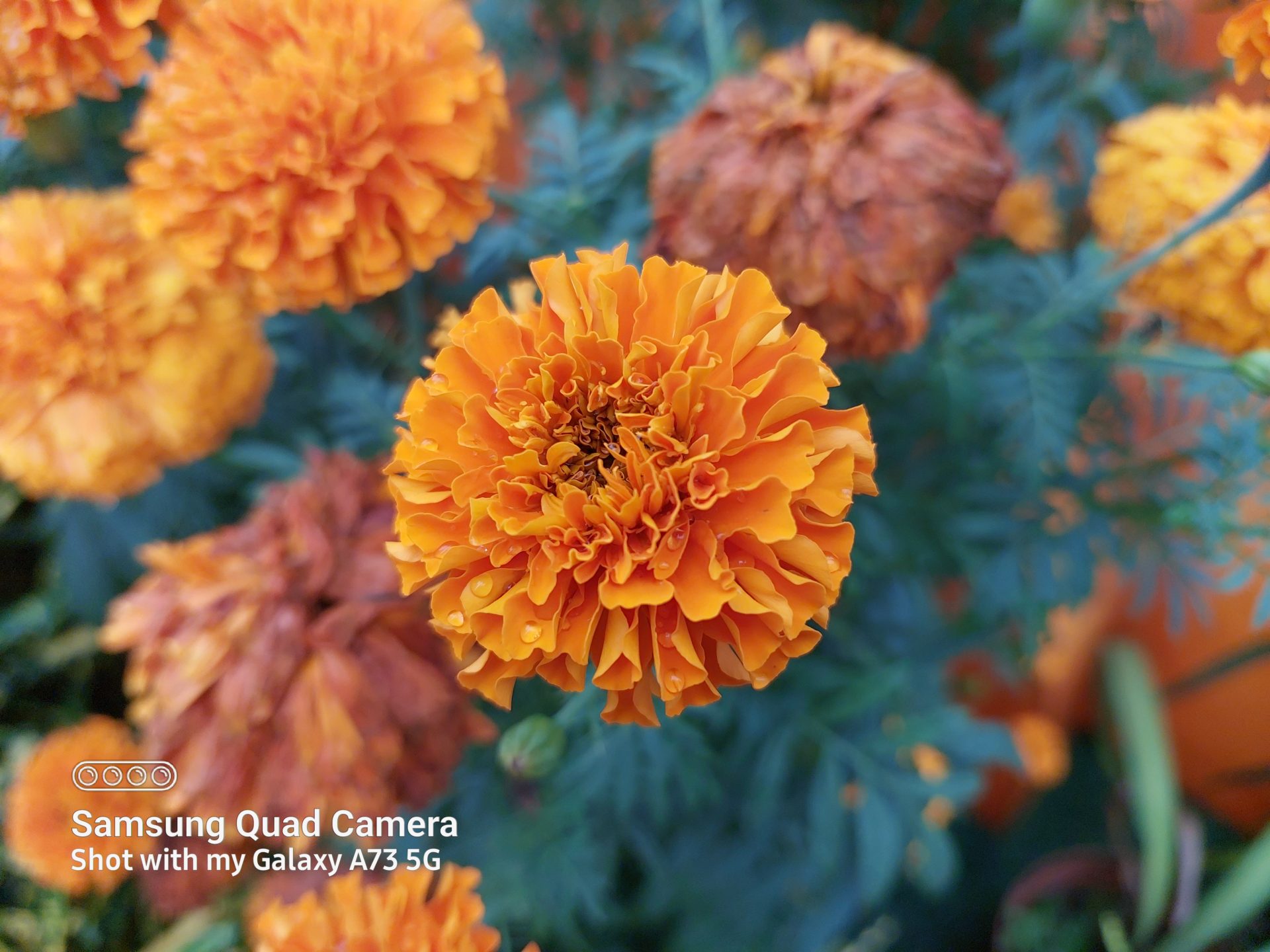 All You Need To Know About Samsung's Galaxy A Series AI Camera ...