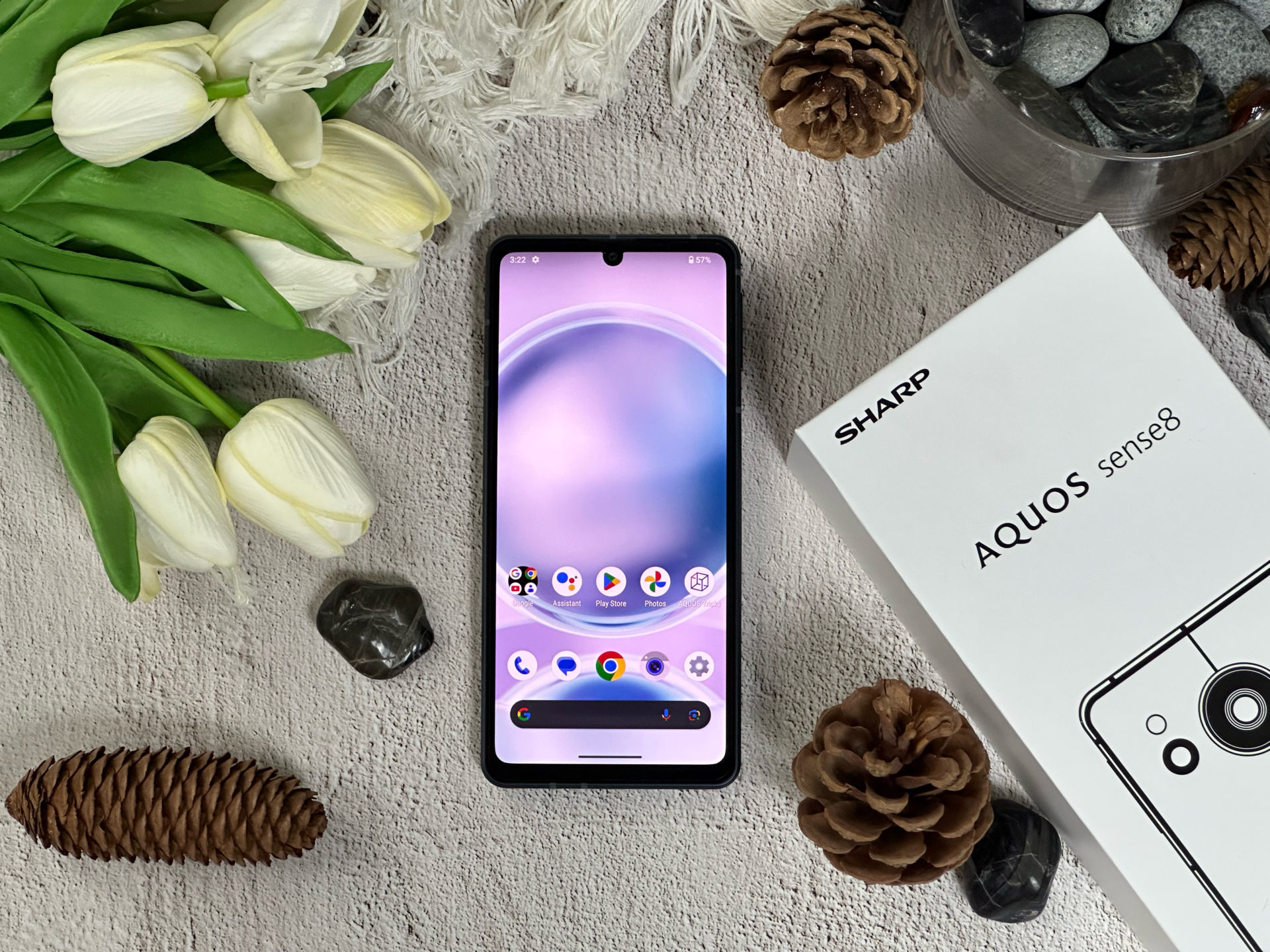 Sharp AQUOS R8s Pro & Sense8 Review: Impressive Duo That Packs A Punch ...