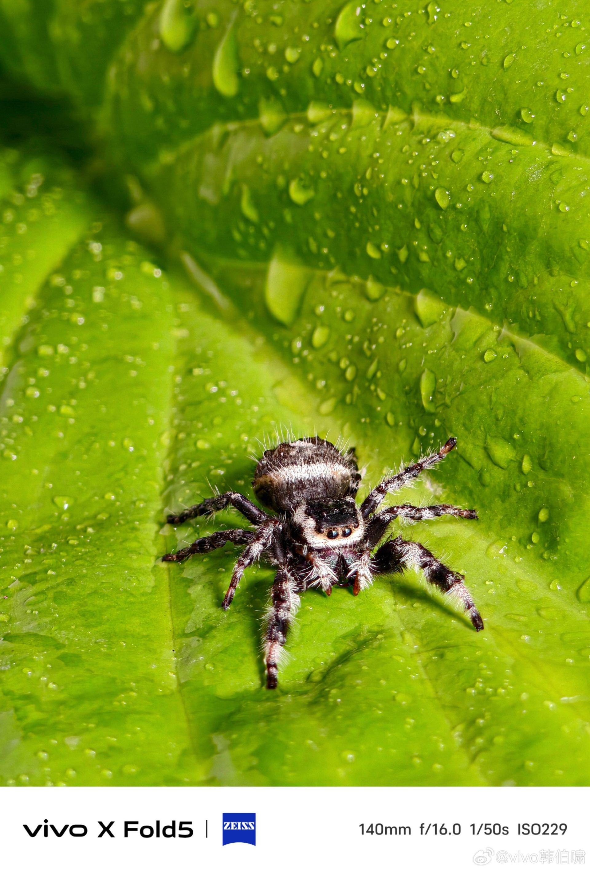 Vivo X Fold 5 camera samples released, promises better photography ...