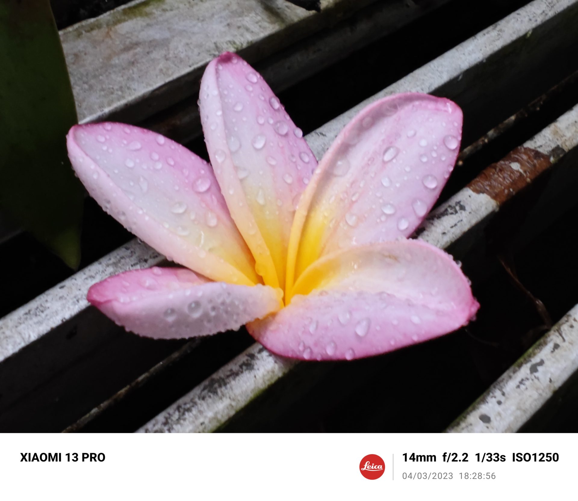 Xiaomi 13 Pro Review: A True Flagship with Leica-branded camera system ...